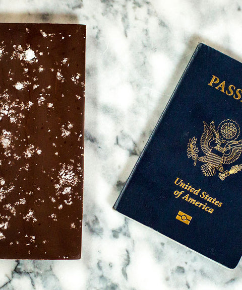 Icelandic Sea Salt Bar (2.65 oz) – MechaChocolate