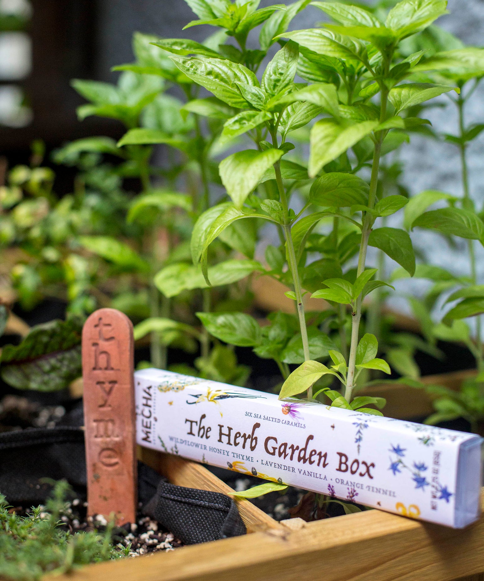MECHA Chocolate Herb Garden Box | Unique Gourmet Chocolates ...
